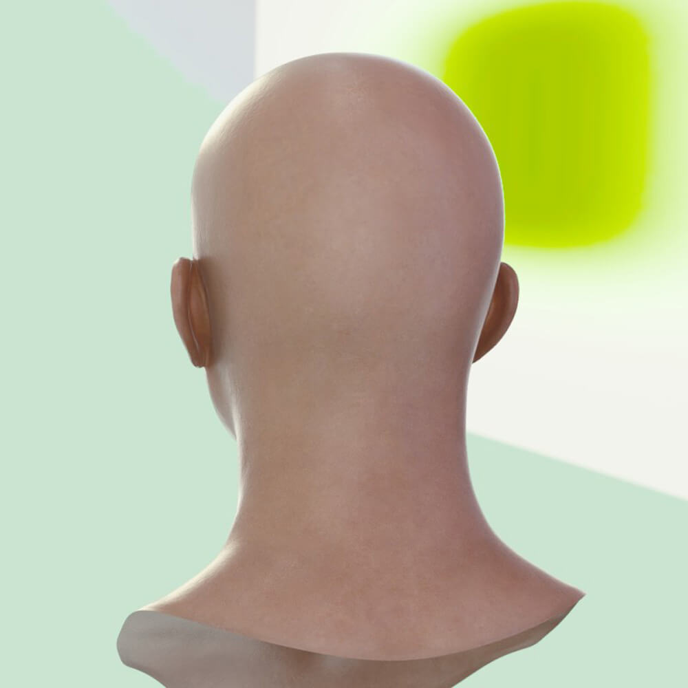 3D Model Human Head Male V6 by vefilanna