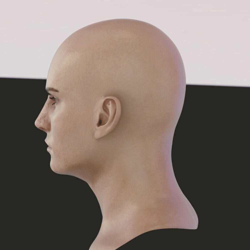 Human Head Male V6 - 3D Model by vefilanna