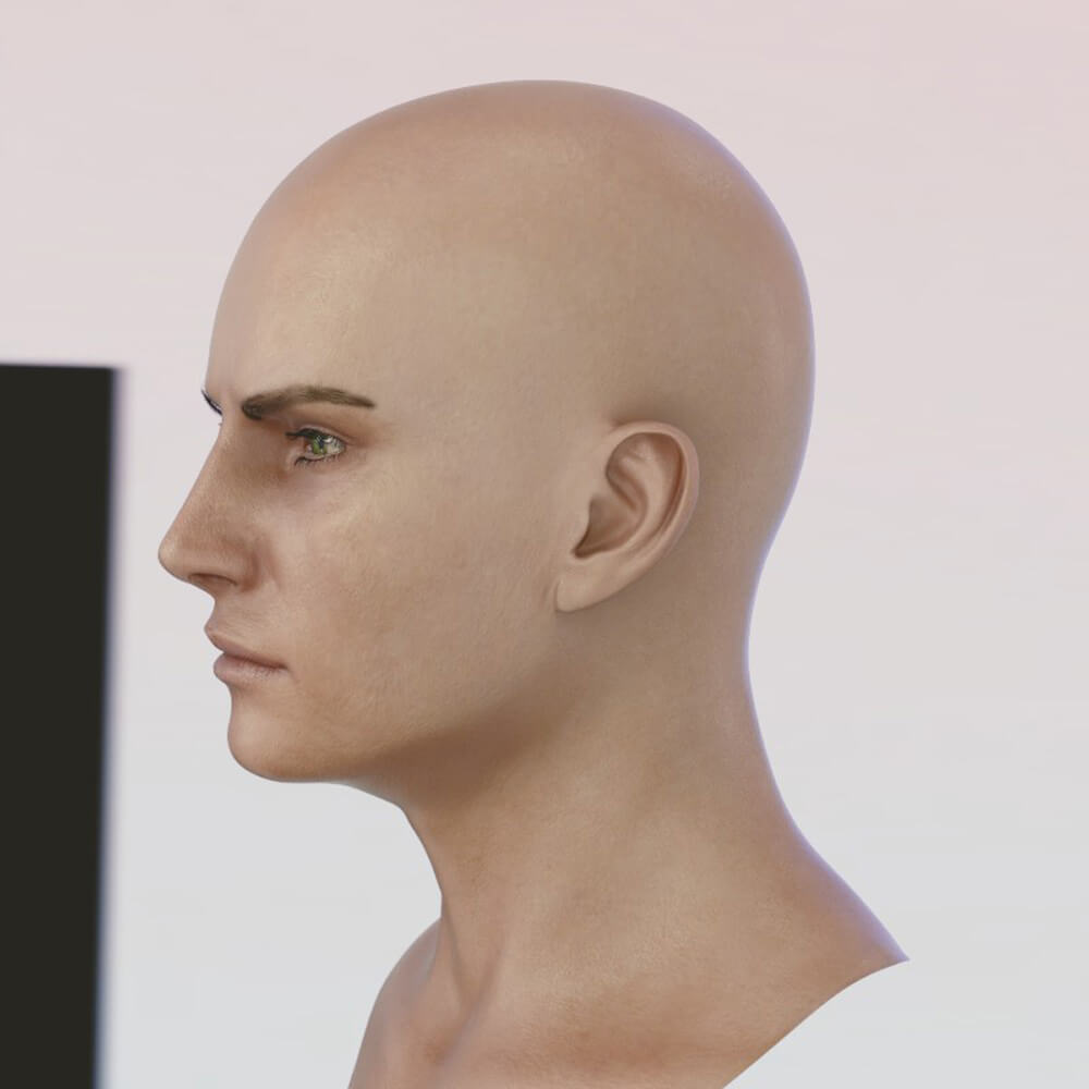 3D Model Human Head Male V6 by vefilanna