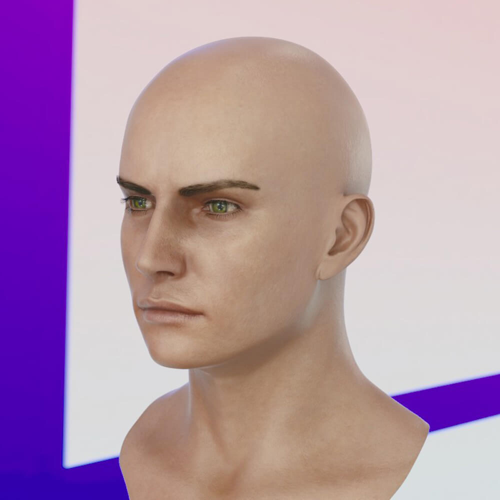 Human Head Male V6 - 3D Model by vefilanna