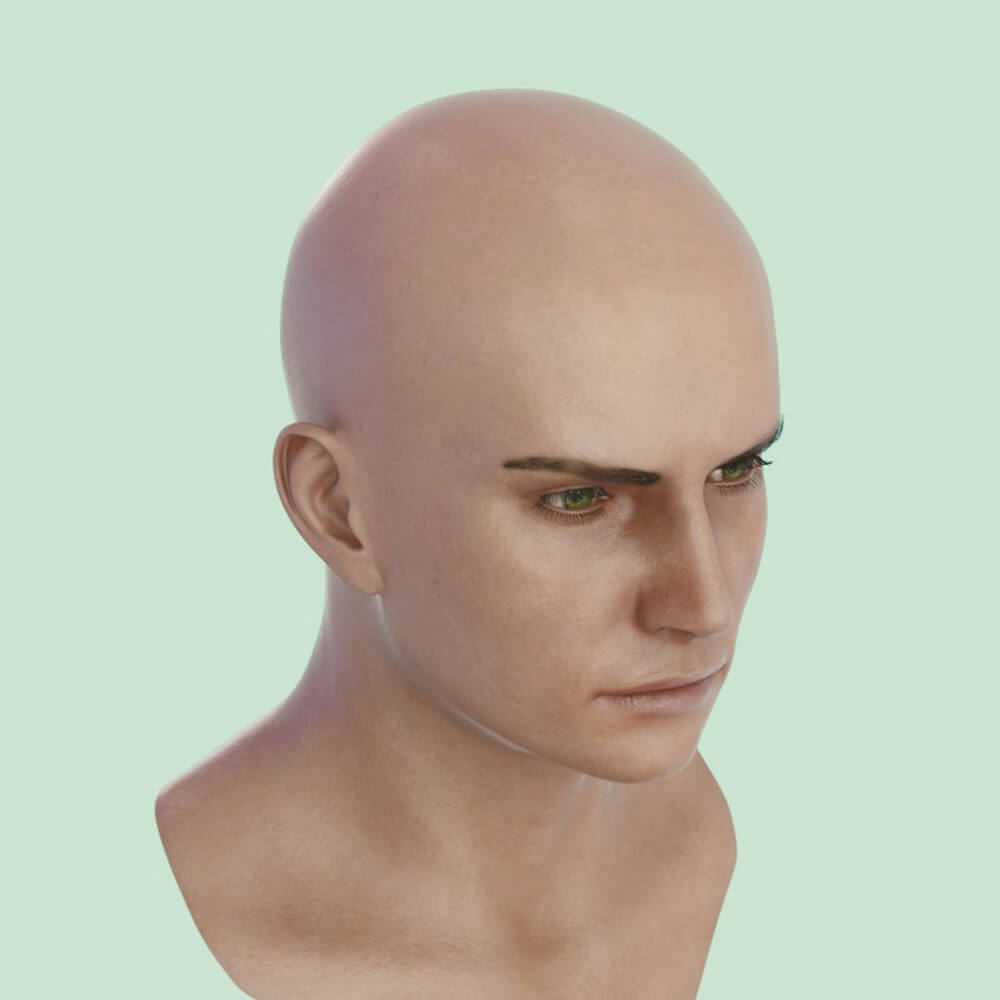 3D Model Human Head Male V6 by vefilanna