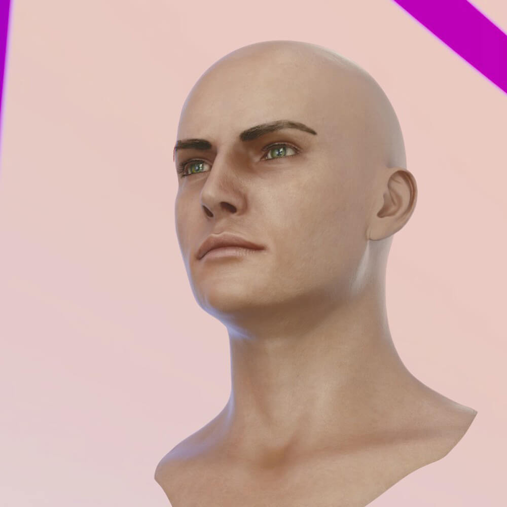 3D Model Human Head Male V6 by vefilanna