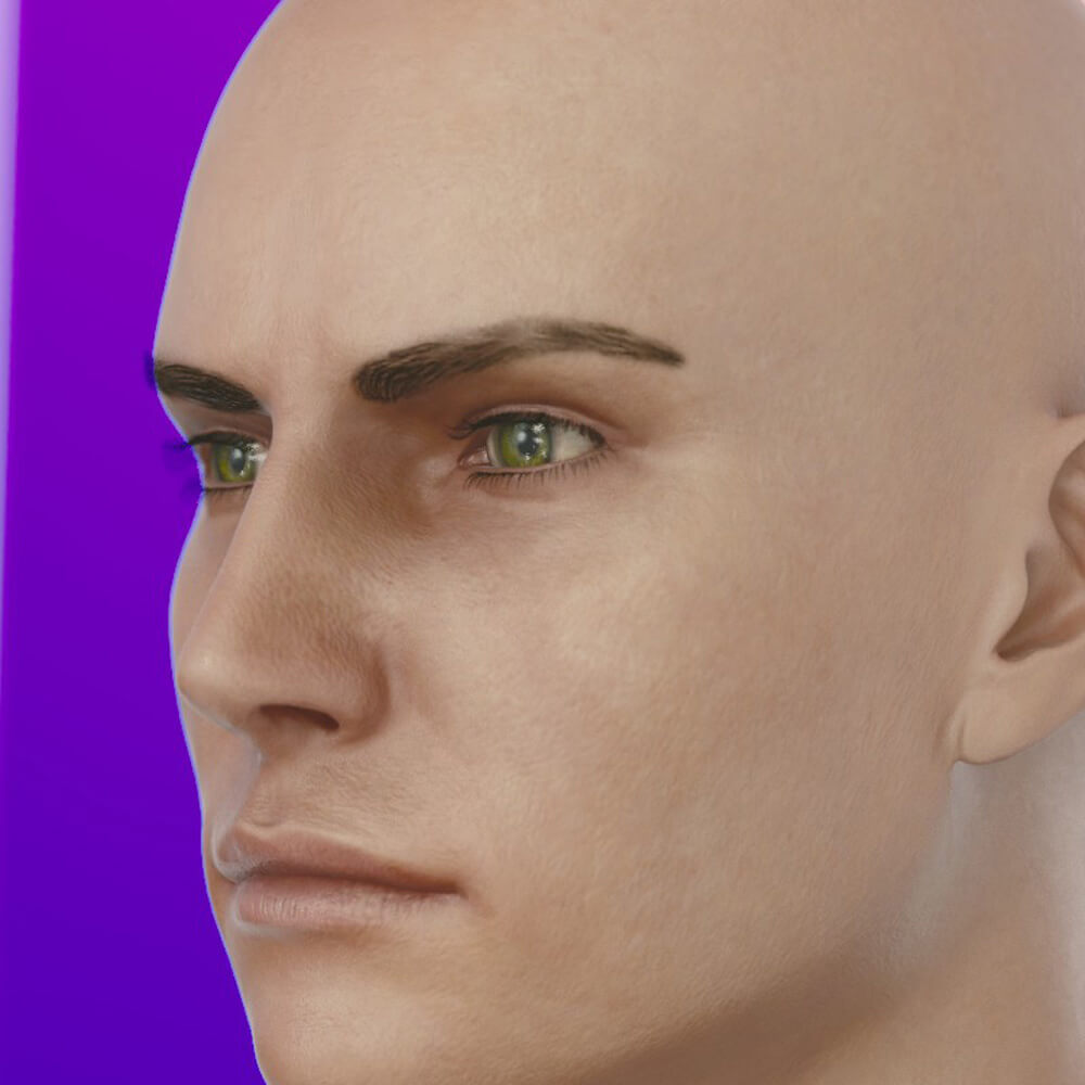 Human Head Male V6 - 3D Model by vefilanna