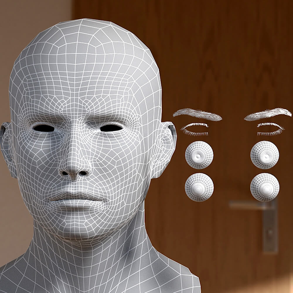 3D Model Human Head Male V6 by vefilanna