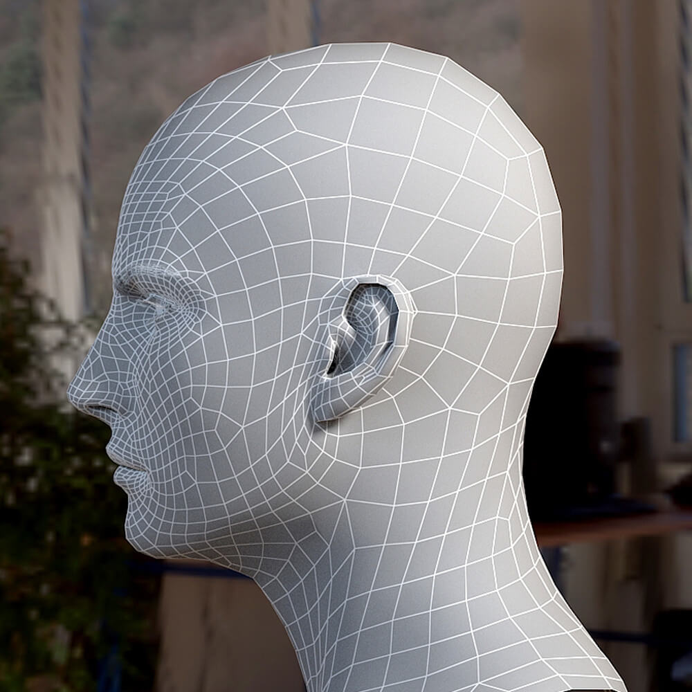 3D Model Human Head Male V6 by vefilanna