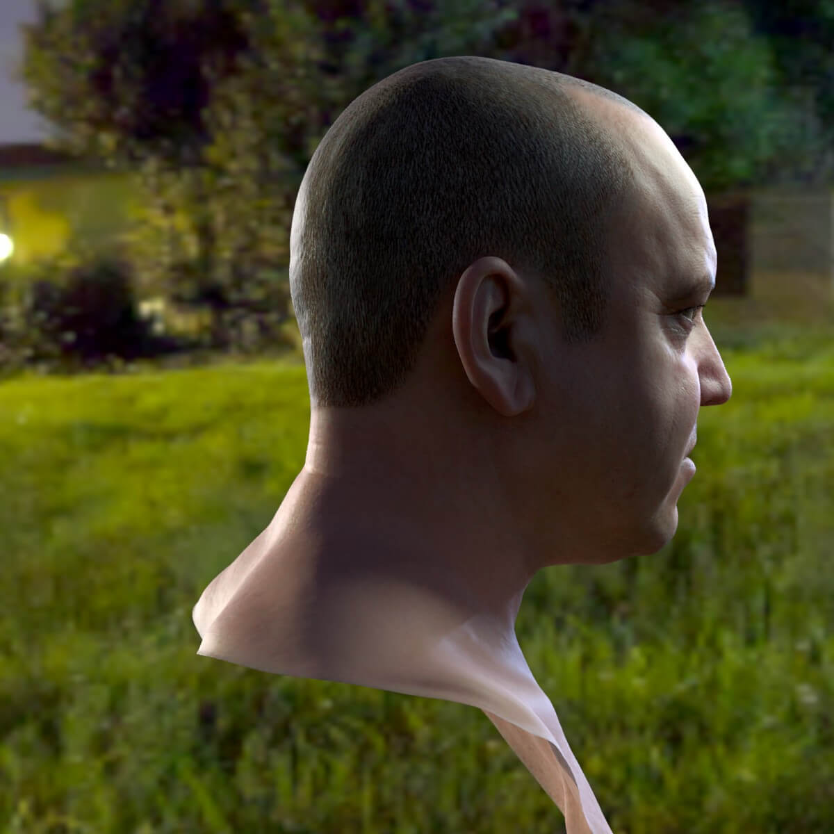 3D Model Human Head V2 by vefilanna