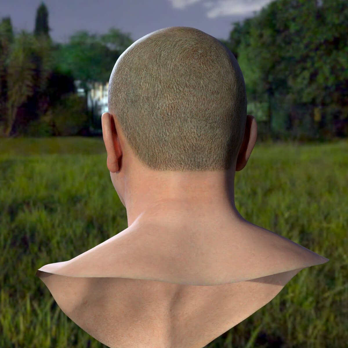 3D Model Human Head V2 by vefilanna