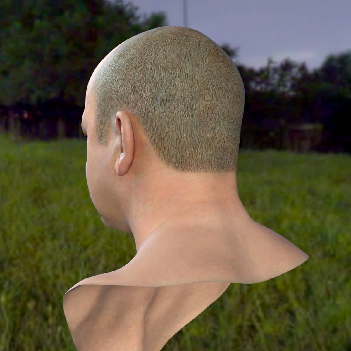 3D Model Human Head V2 by vefilanna