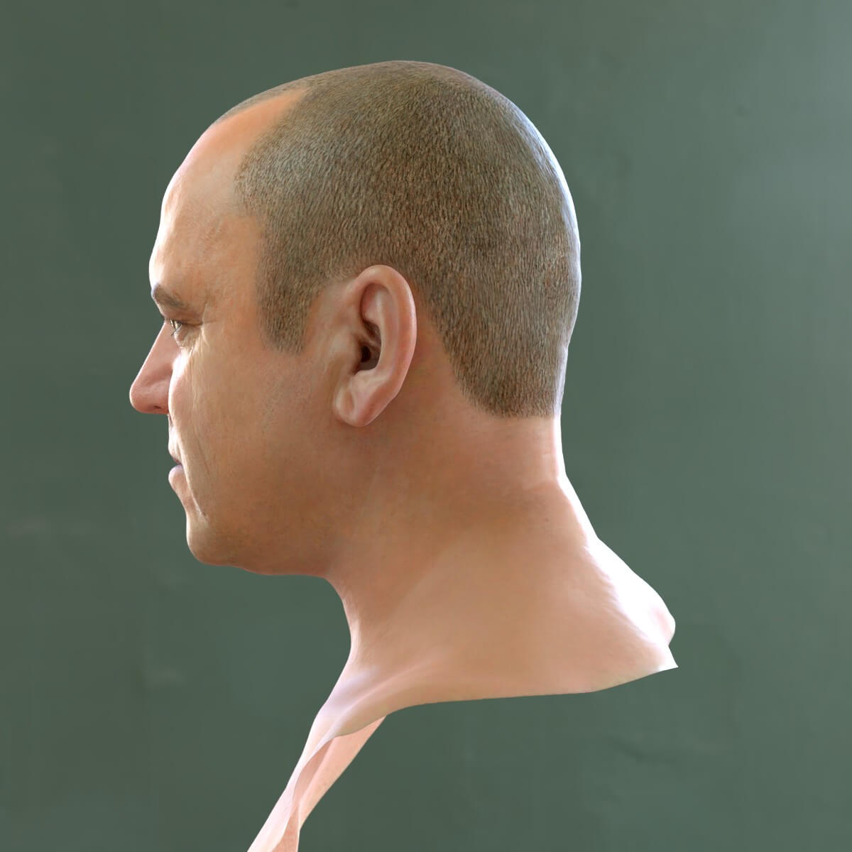 3D Model Human Head V2 by vefilanna
