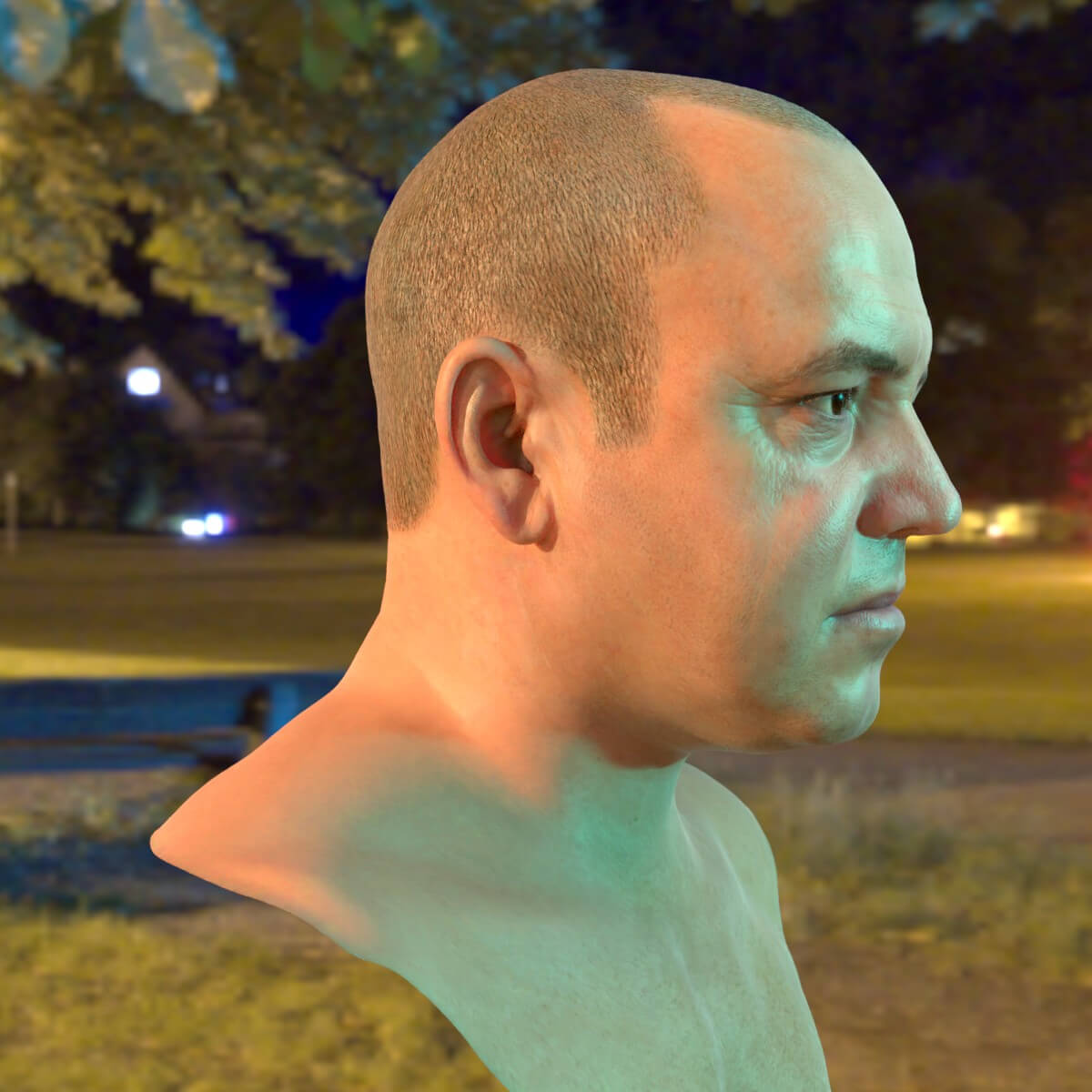 3D Model Human Head V2 by vefilanna