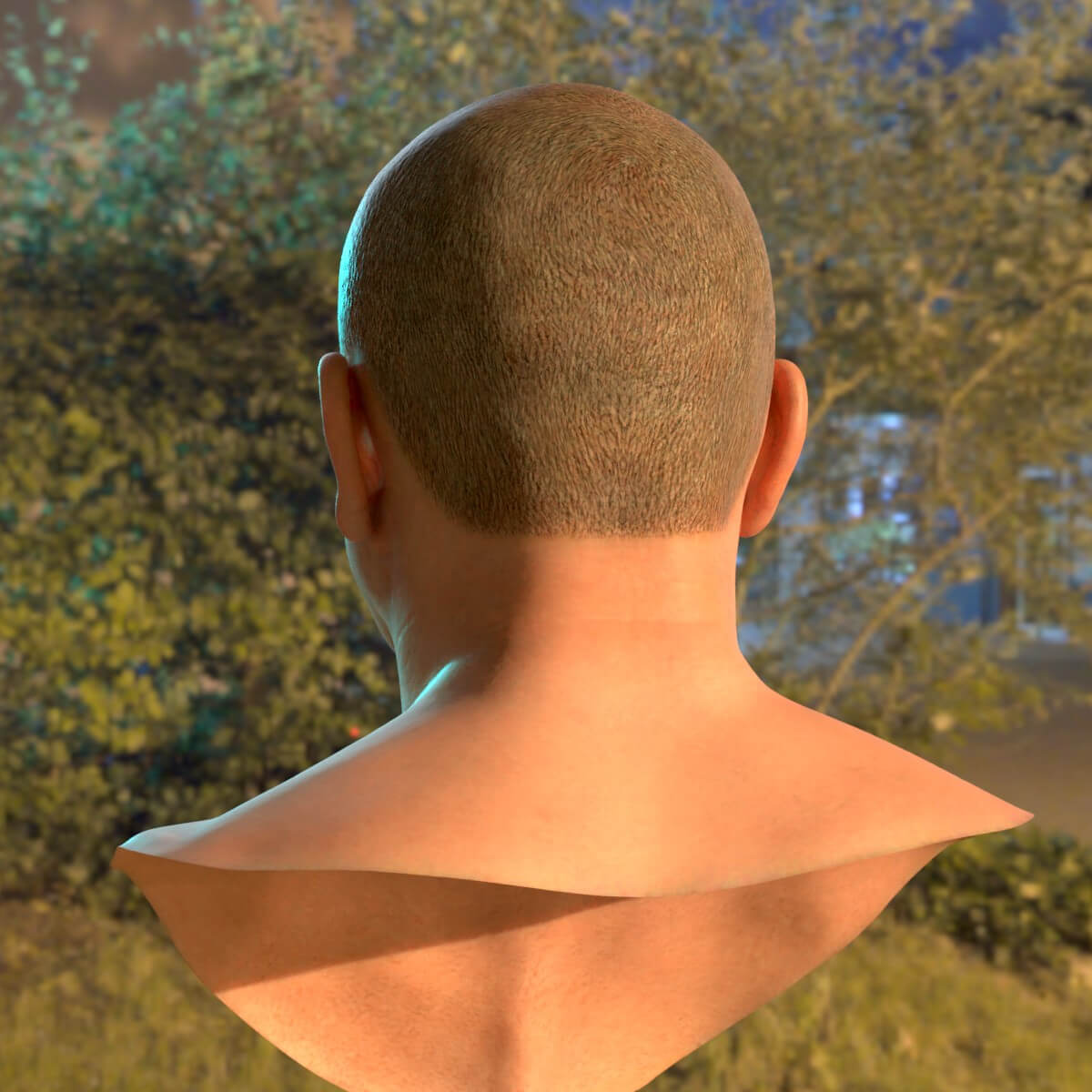 3D Model Human Head V2 by vefilanna