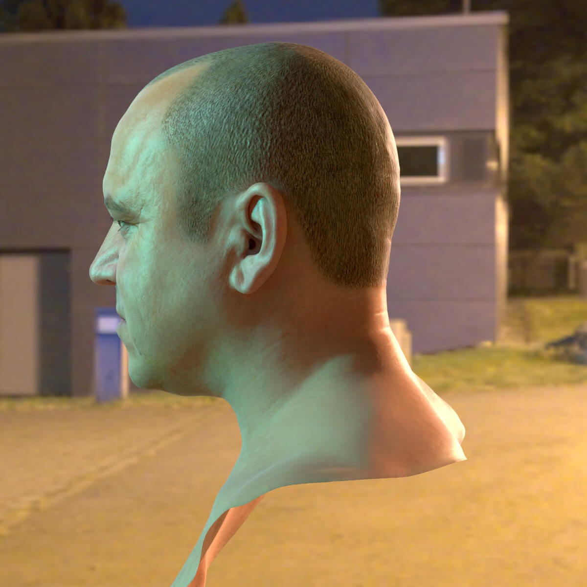 3D Model Human Head V2 by vefilanna