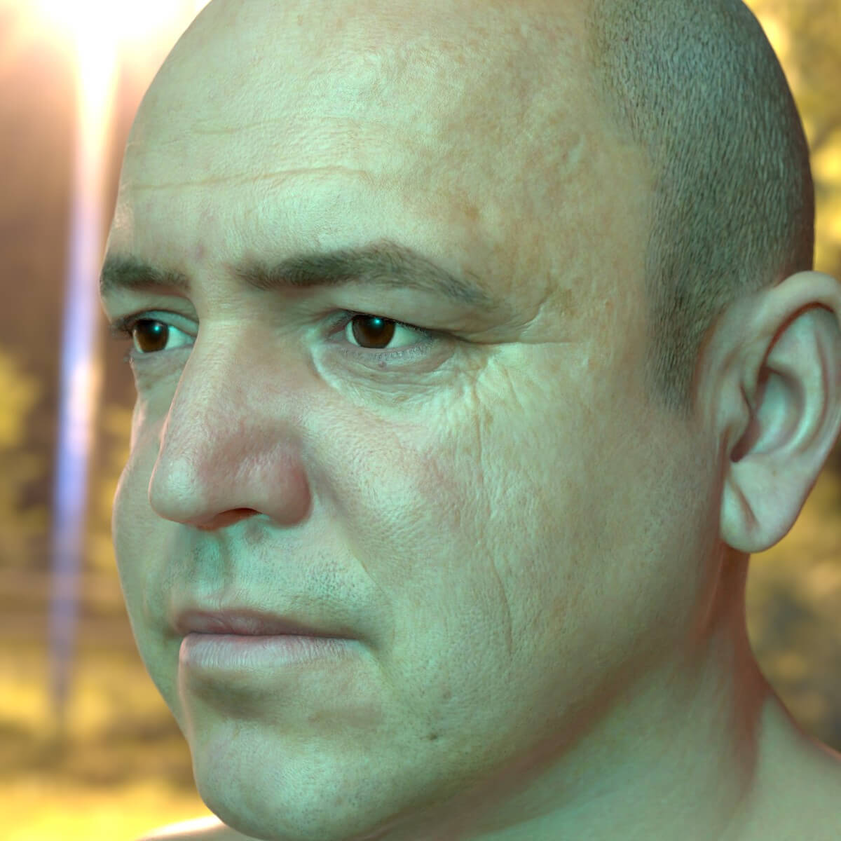 3D Model Human Head V2 by vefilanna