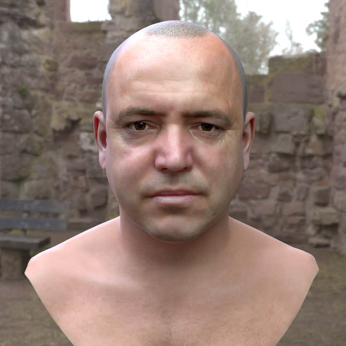 3D Model Human Head V2 by vefilanna
