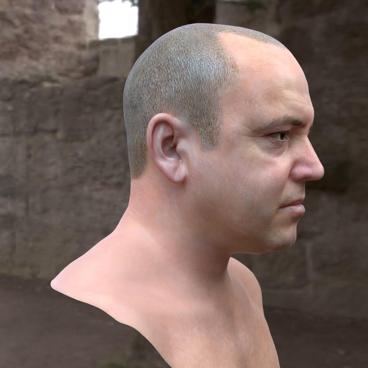 3D Model Human Head V2 by vefilanna