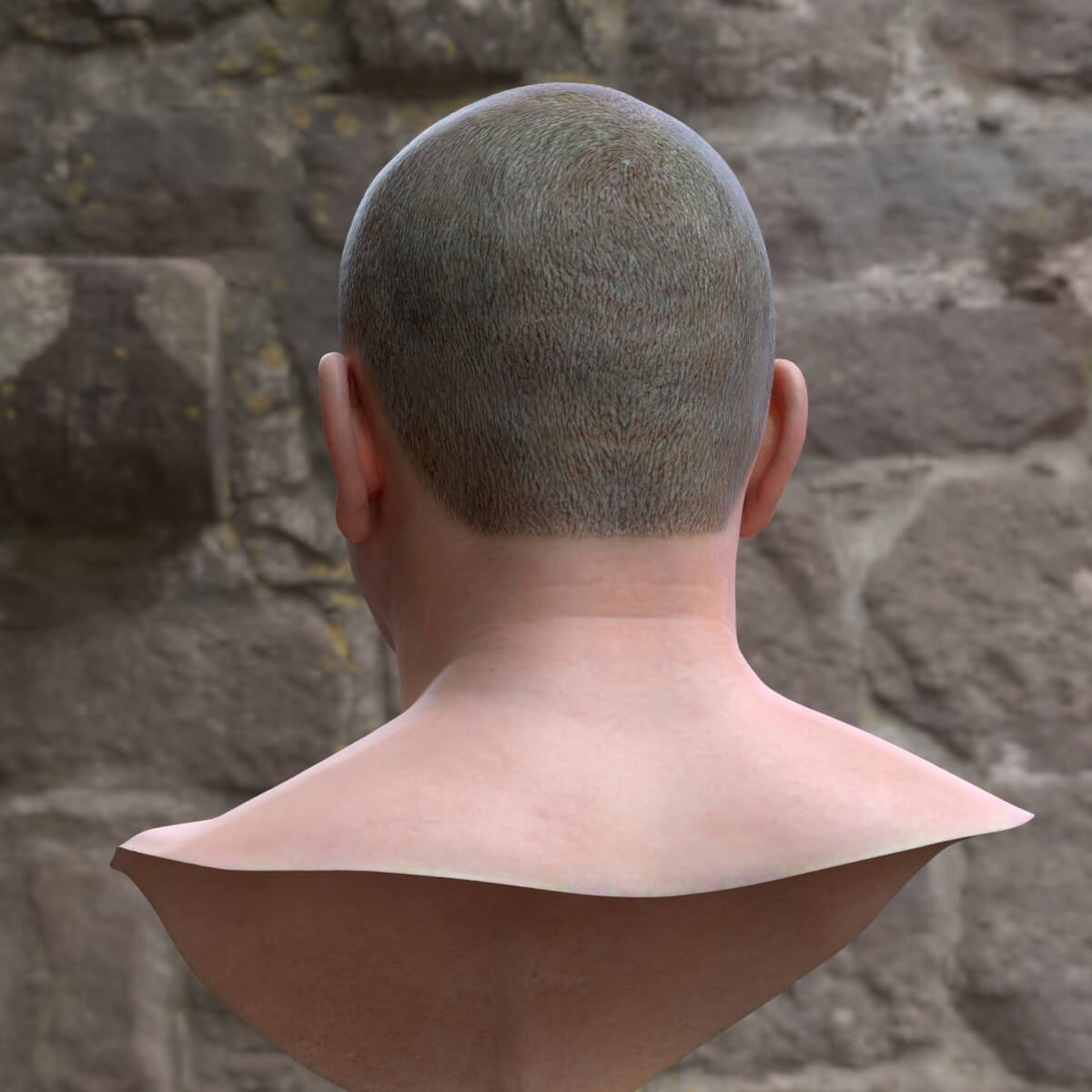 3D Model Human Head V2 by vefilanna