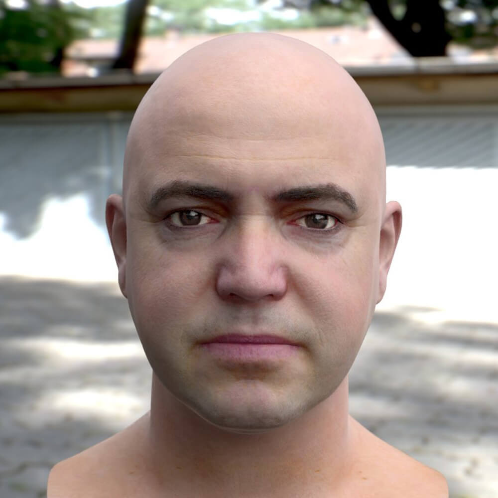 3D Model Human Head V2 by vefilanna