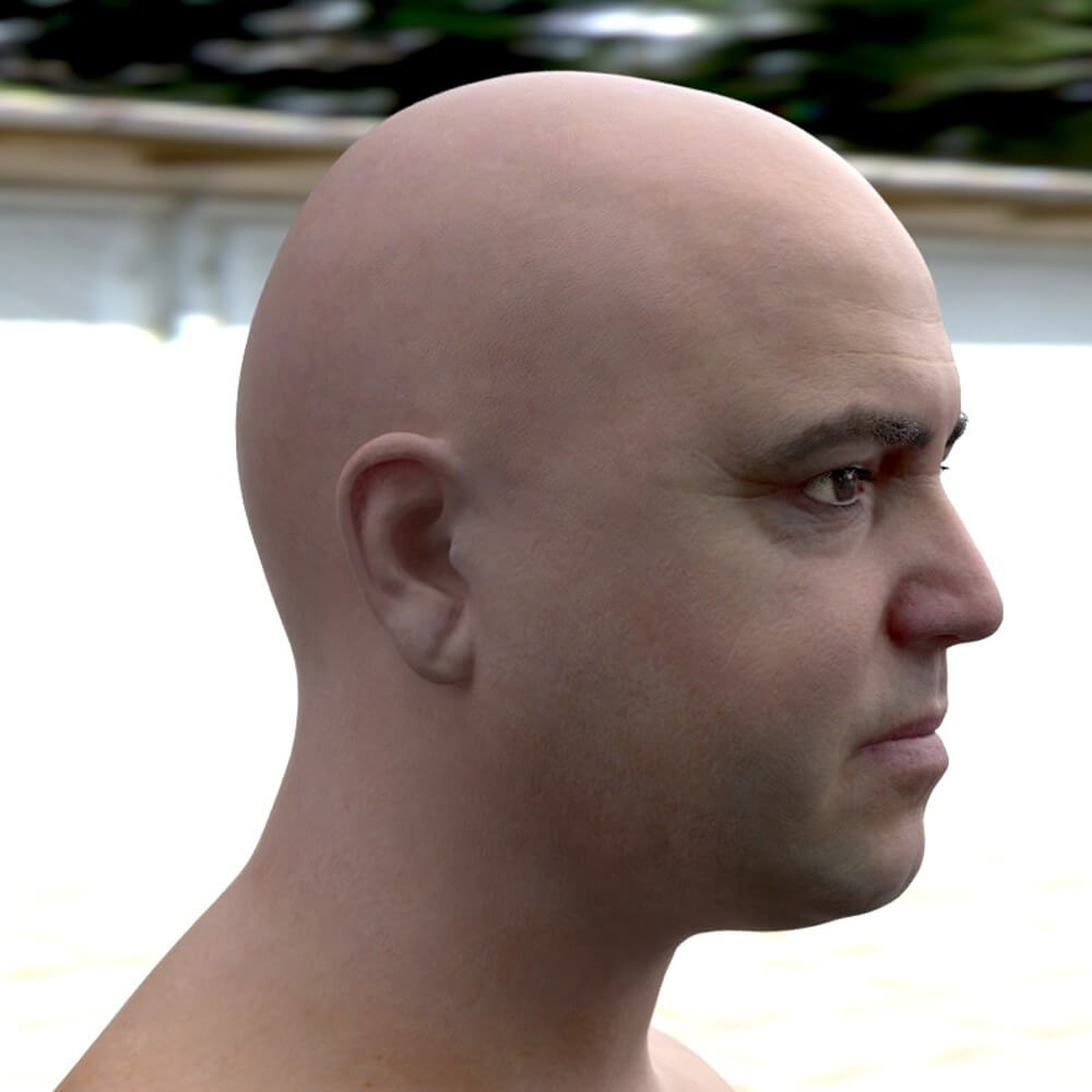 Human Head V2 - 3D Model by vefilanna