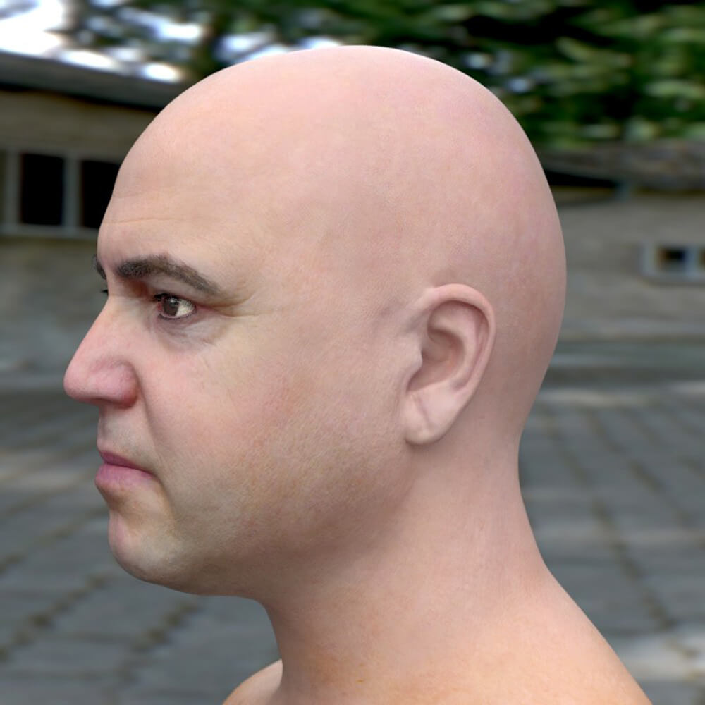 3D Model Human Head V2 by vefilanna