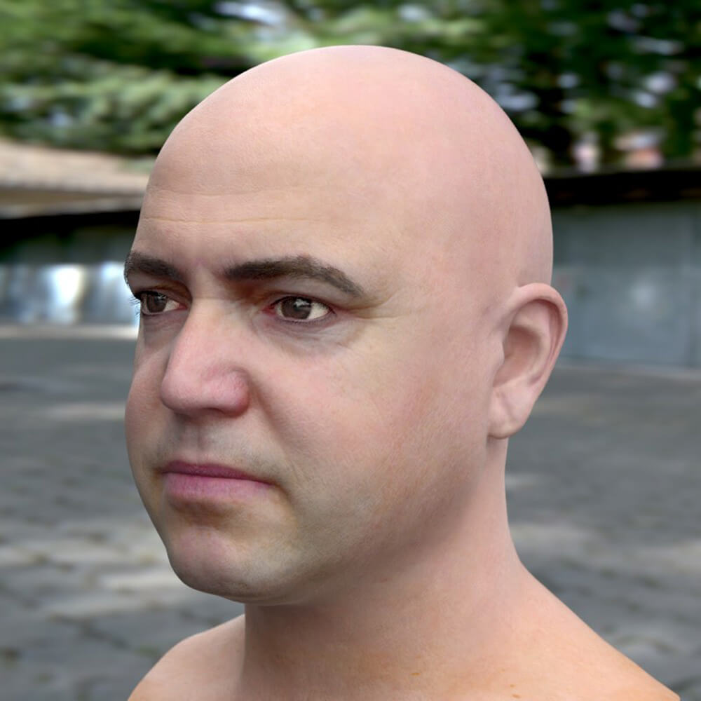 Human Head V2 - 3D Model by vefilanna