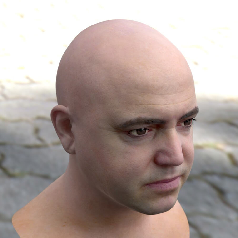 3D Model Human Head V2 by vefilanna