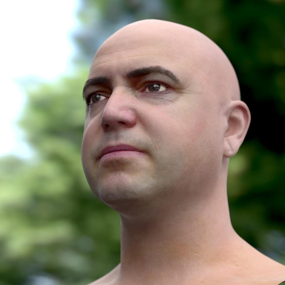 Human Head V2 - 3D Model by vefilanna