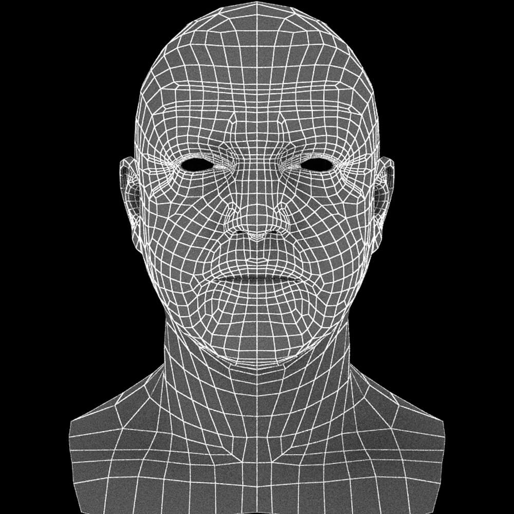 Human Head V2 - 3D Model by vefilanna