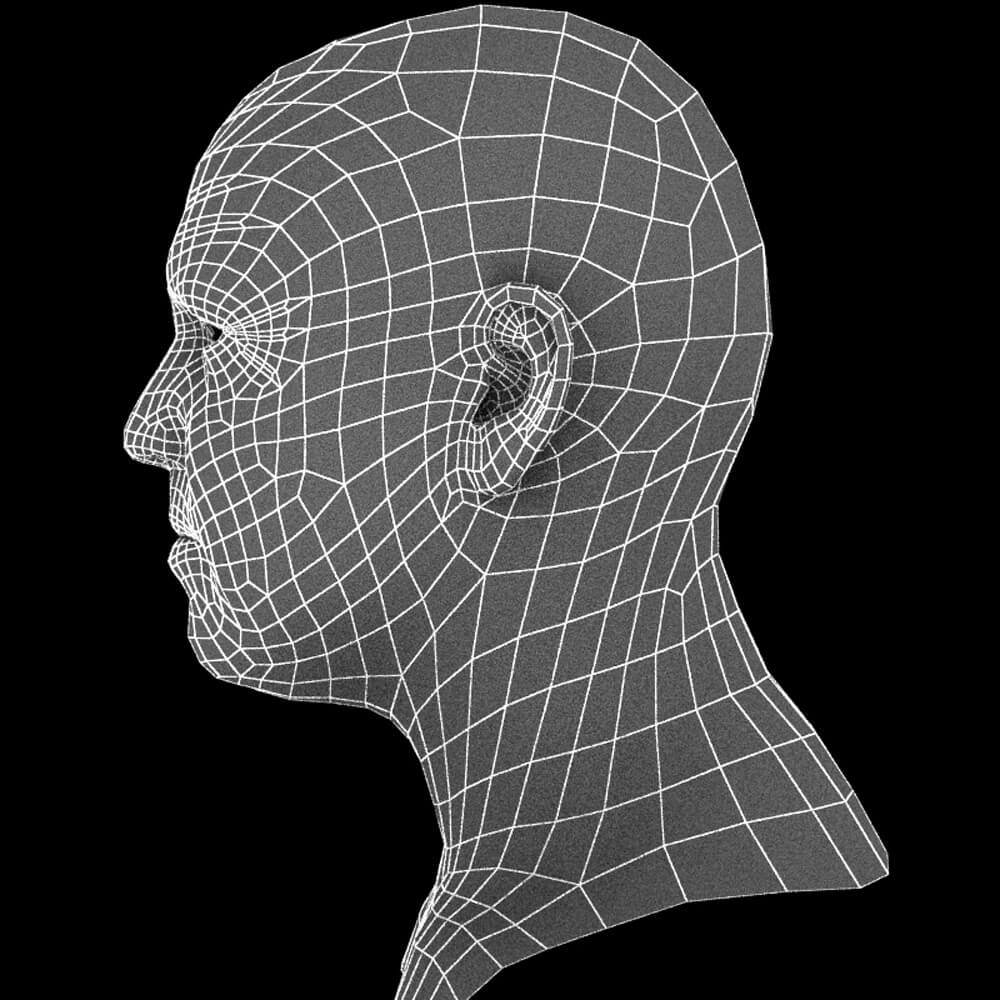 Human Head V2 - 3D Model by vefilanna