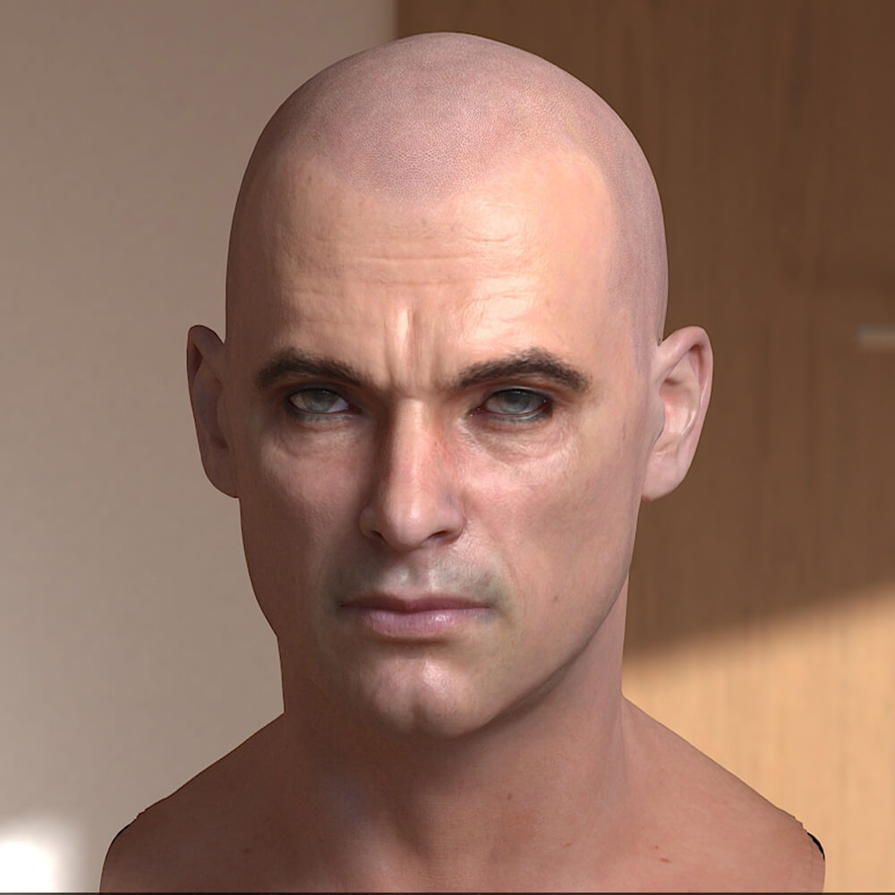 3D Model Human Head by vefilanna