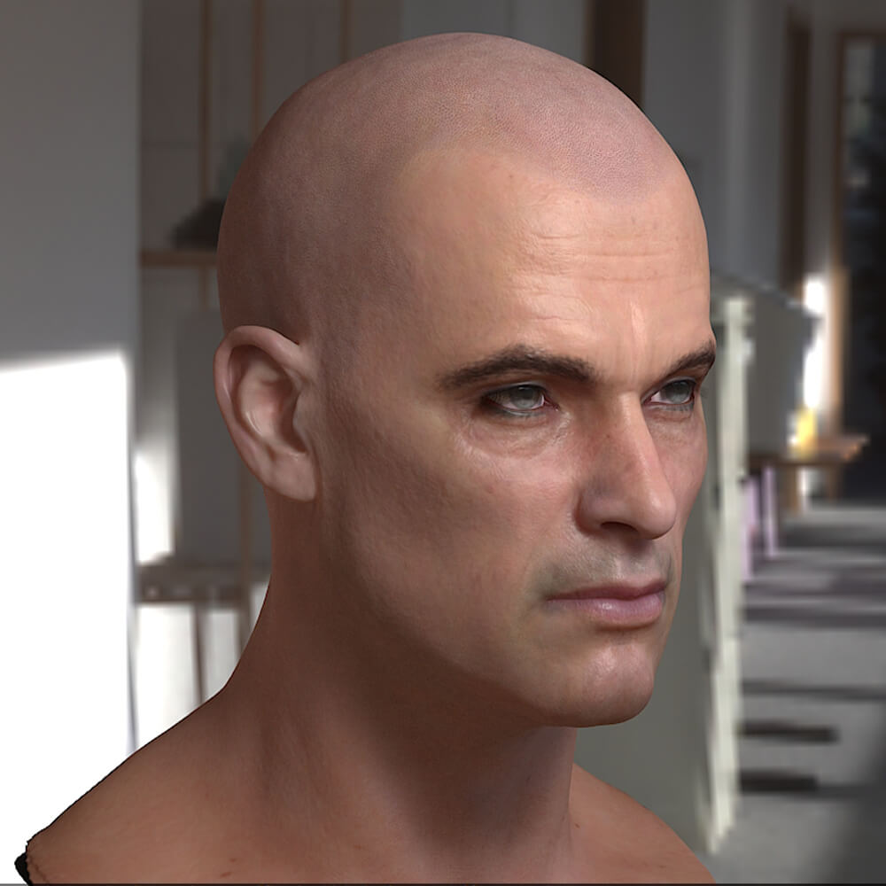 3D Model Human Head by vefilanna