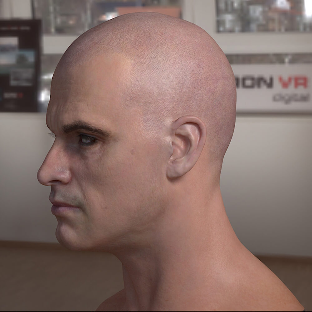 3D Model Human Head by vefilanna
