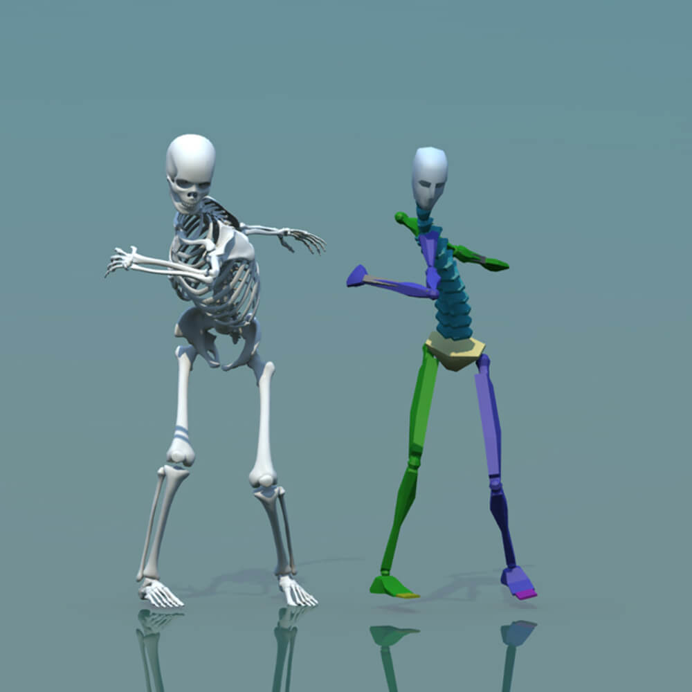 3D Model Human Skeleton by vefilanna