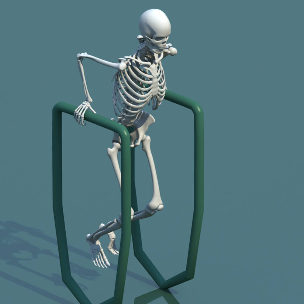 Human Skeleton - 3D Model by vefilanna