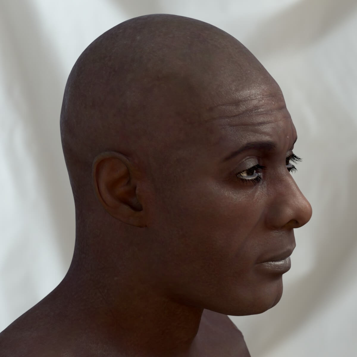 Idris Elba Head V2 - 3D Model by vefilanna
