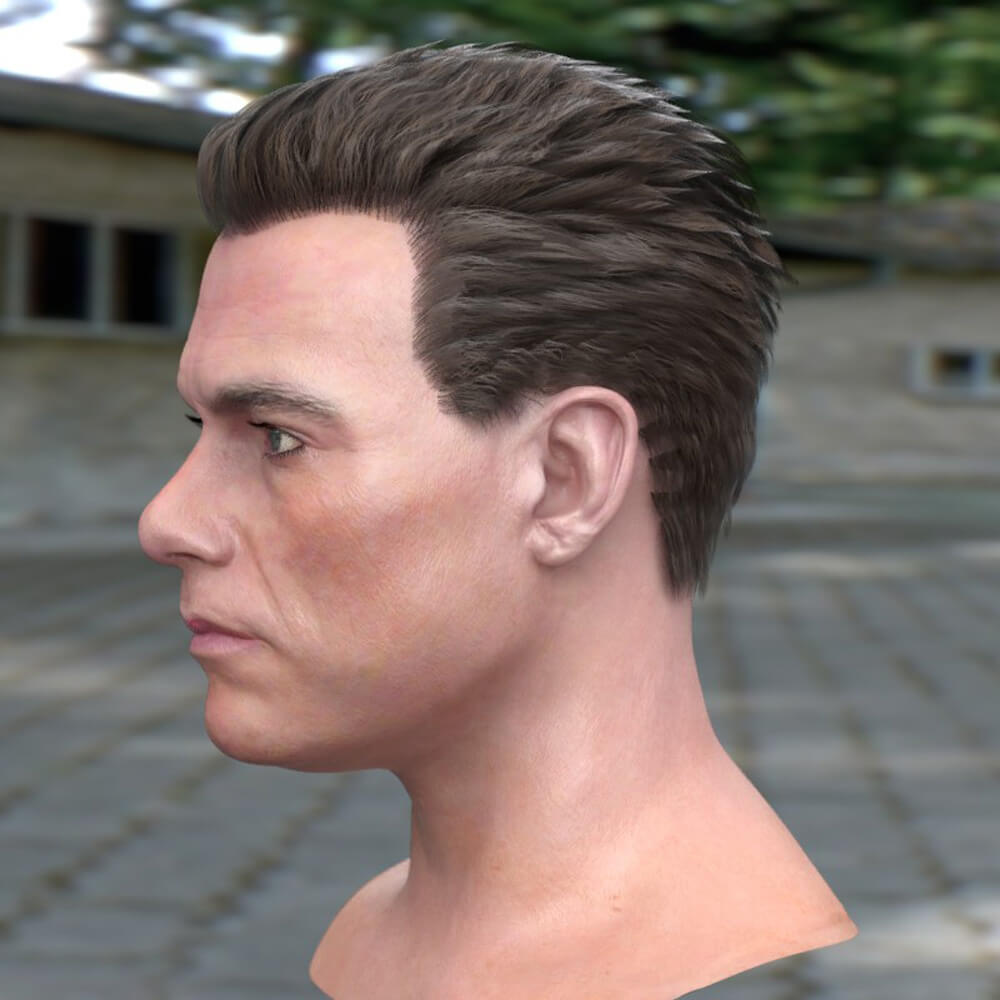 Jean Claude Van Damme Head - 3D Model by vefilanna