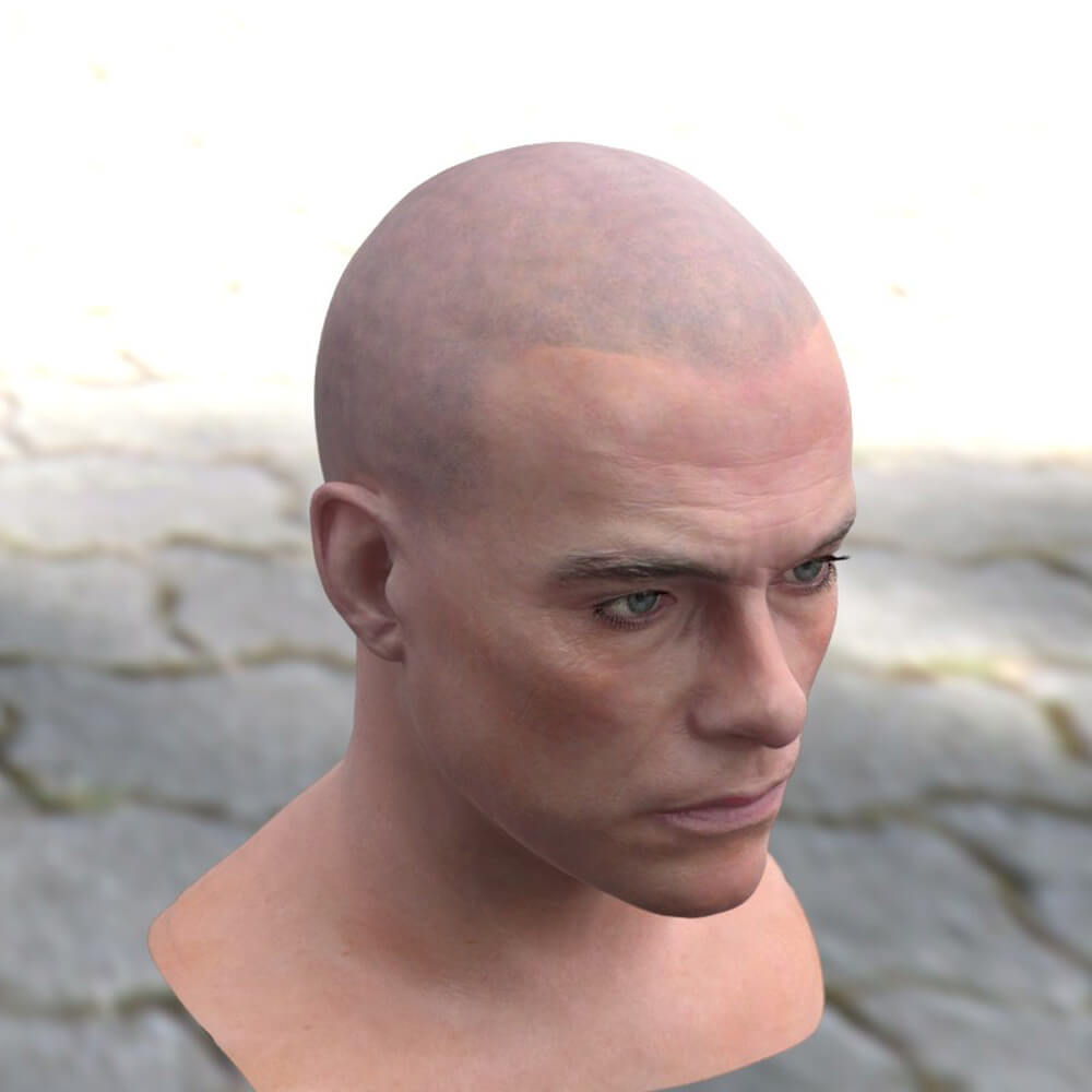 Jean Claude Van Damme Head - 3D Model by vefilanna