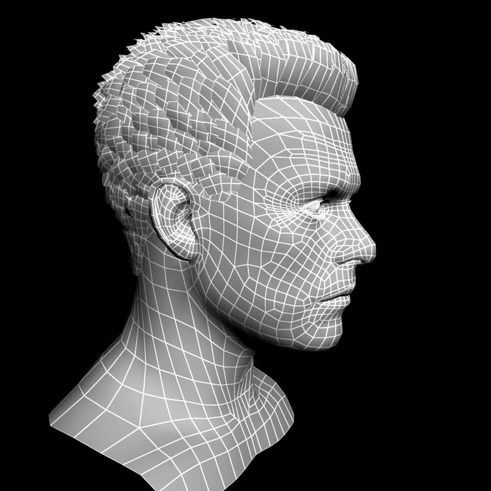 3D Model Jean Claude Van Damme by vefilanna