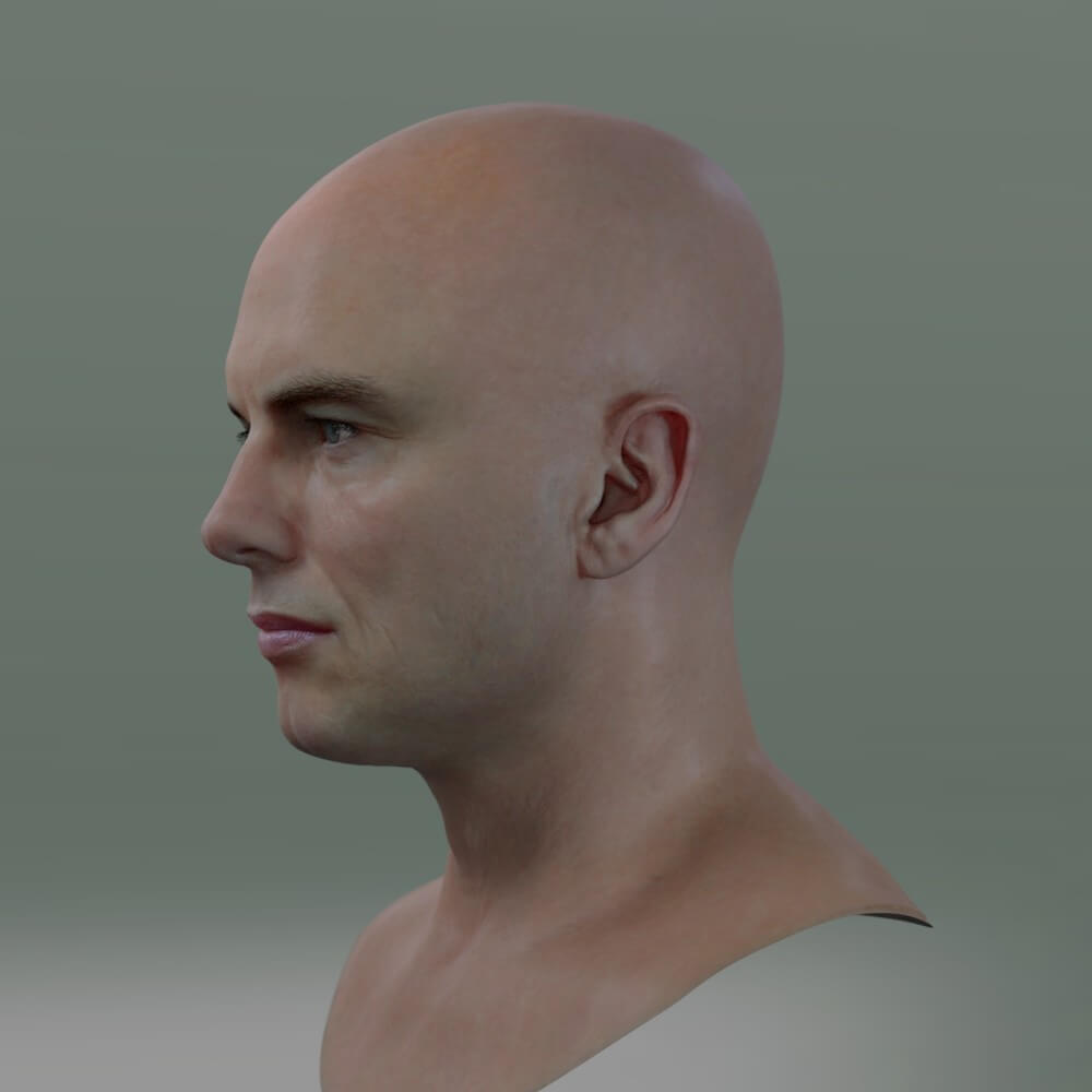 John Barrowman Head - 3D Model by vefilanna