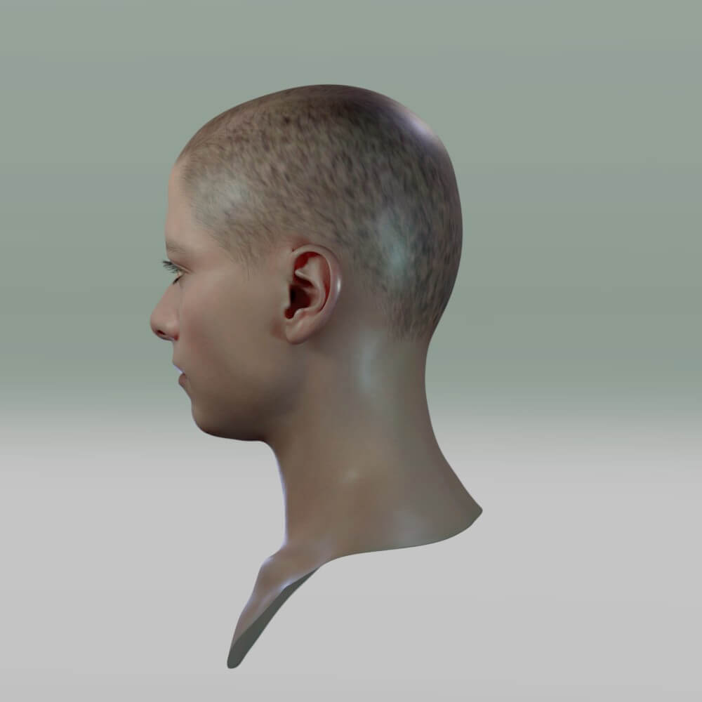 John Connor Head - 3D Model by vefilanna