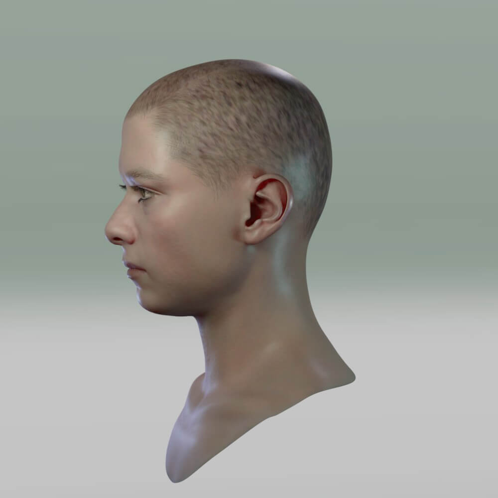 John Connor Head - 3D Model by vefilanna