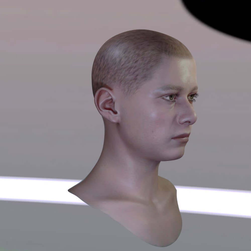 John Connor Head - 3D Model by vefilanna