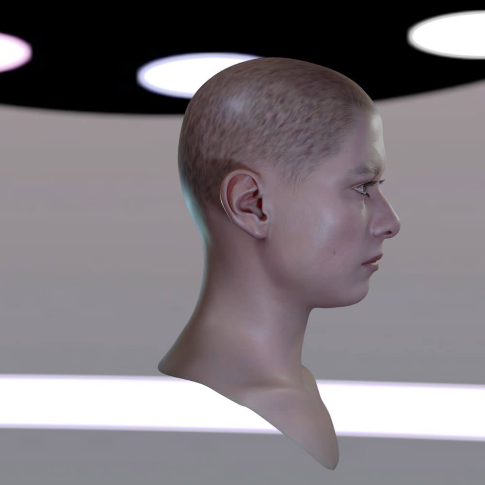 John Connor Head - 3D Model by vefilanna