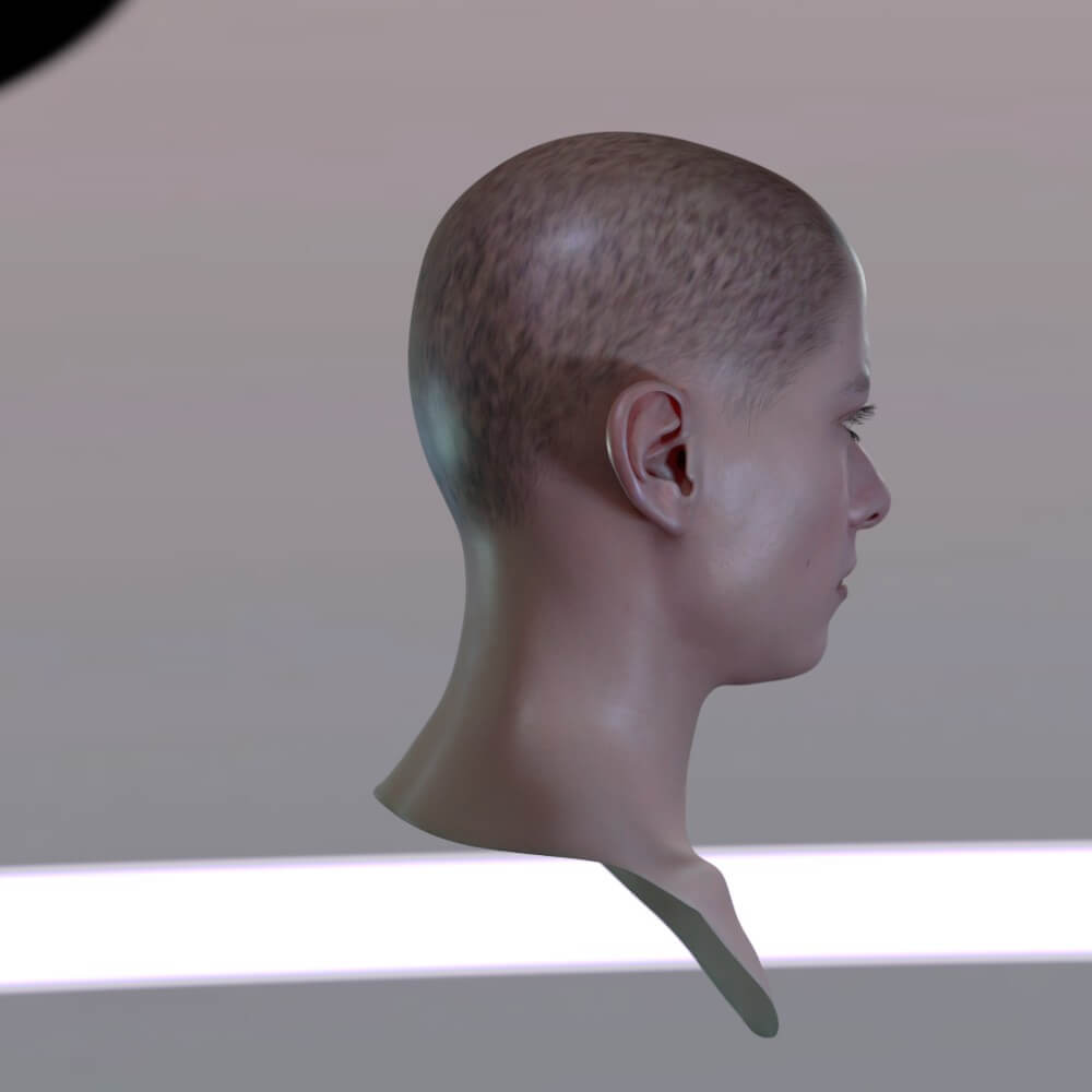 John Connor Head - 3D Model by vefilanna