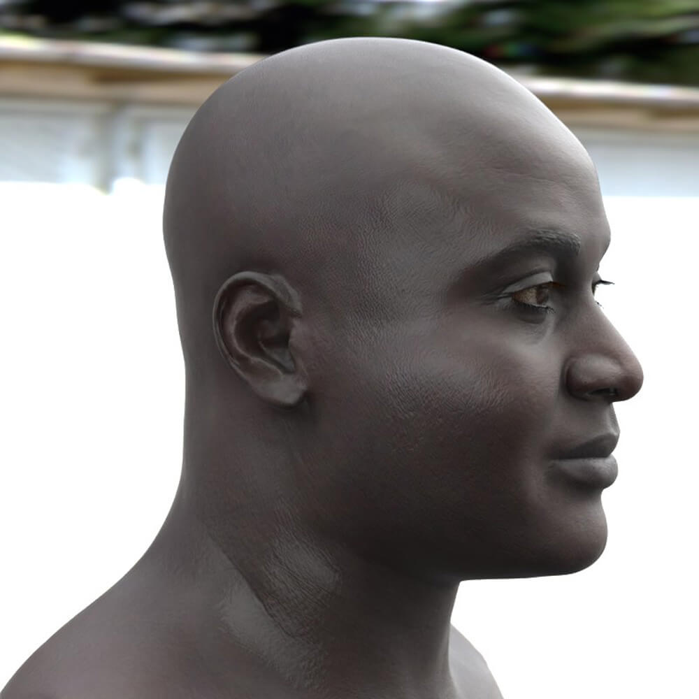 3D Model Joseph Head Male by vefilanna