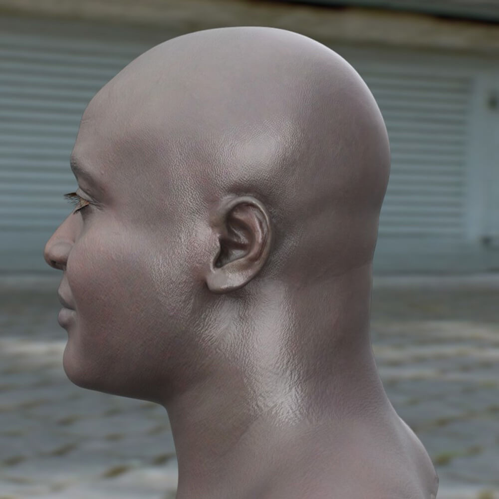 3D Model Joseph Head Male by vefilanna