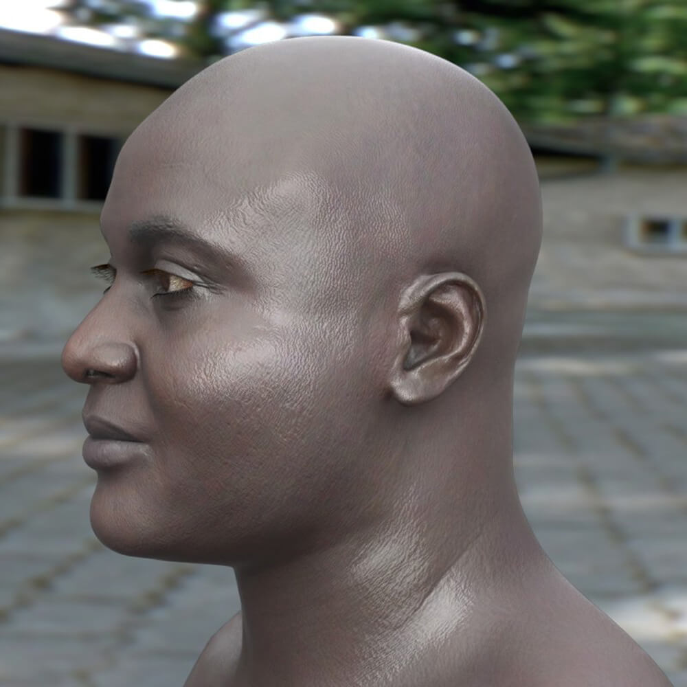 3D Model Joseph Head Male by vefilanna