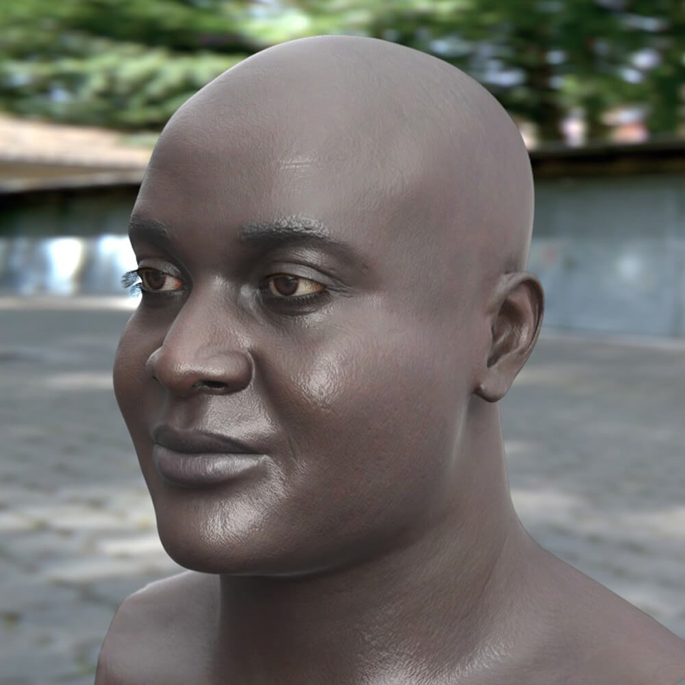 3D Model Joseph Head Male by vefilanna