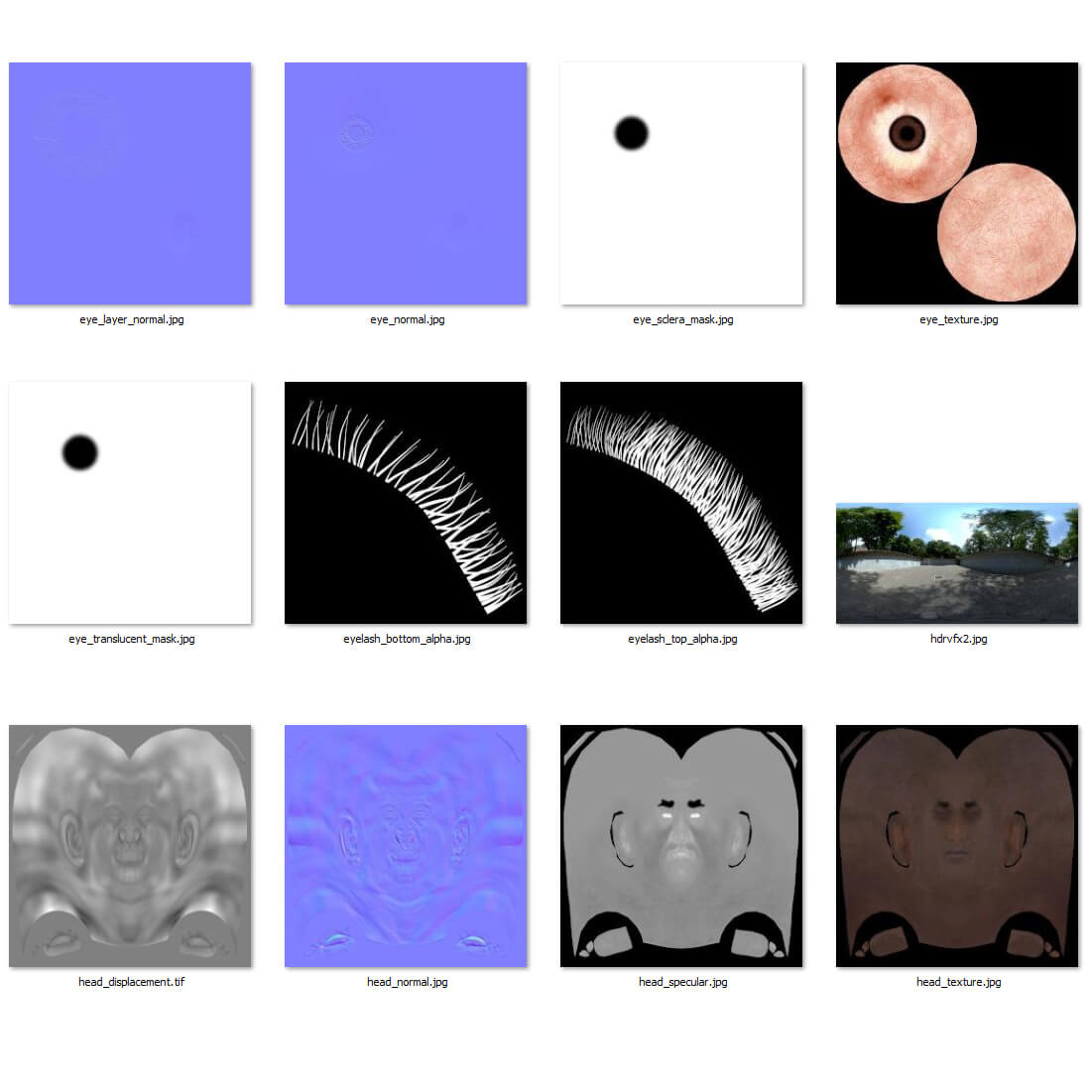 3D Model Joseph Head Male by vefilanna