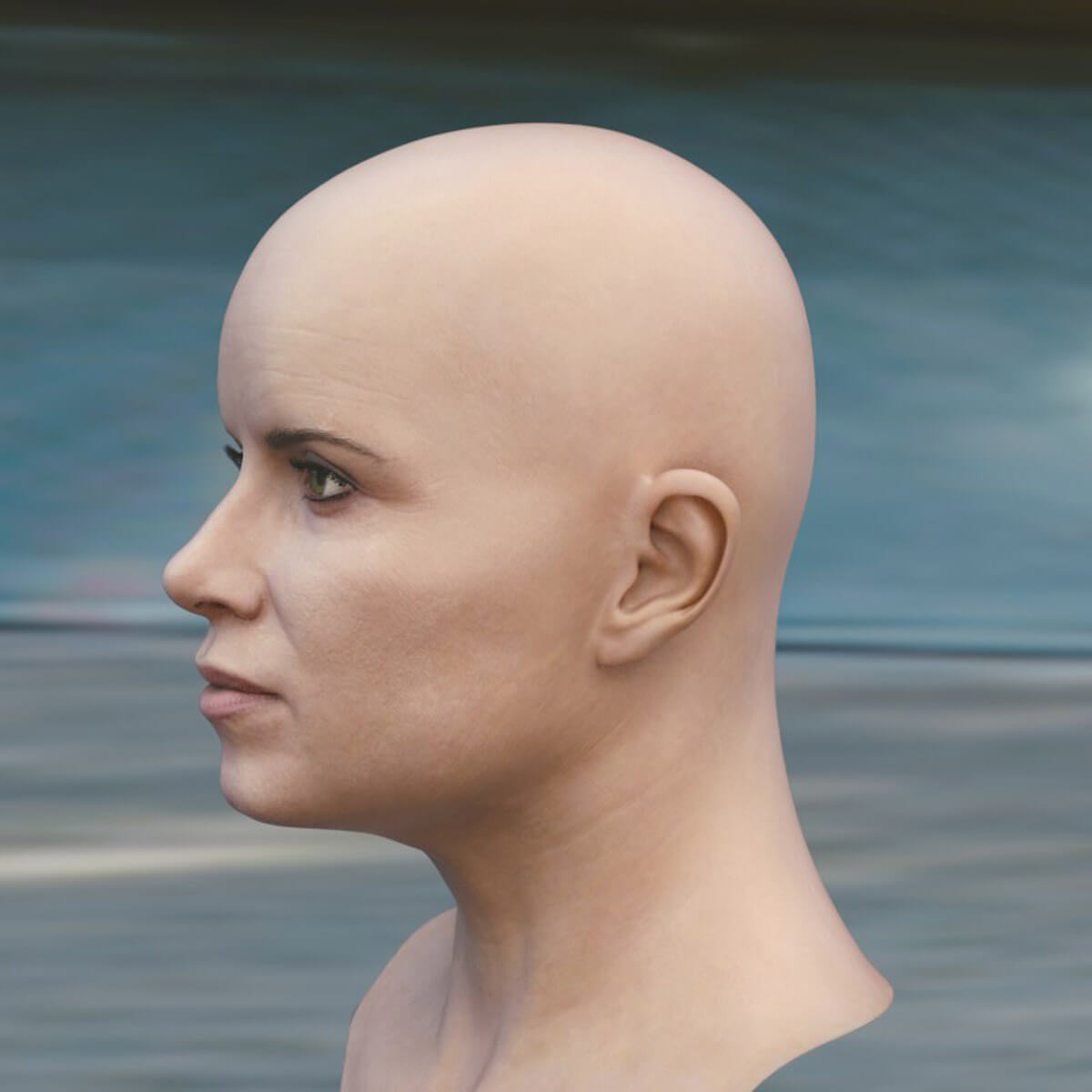 Kim Dickens Madison Clark Head - 3D Model by vefilanna