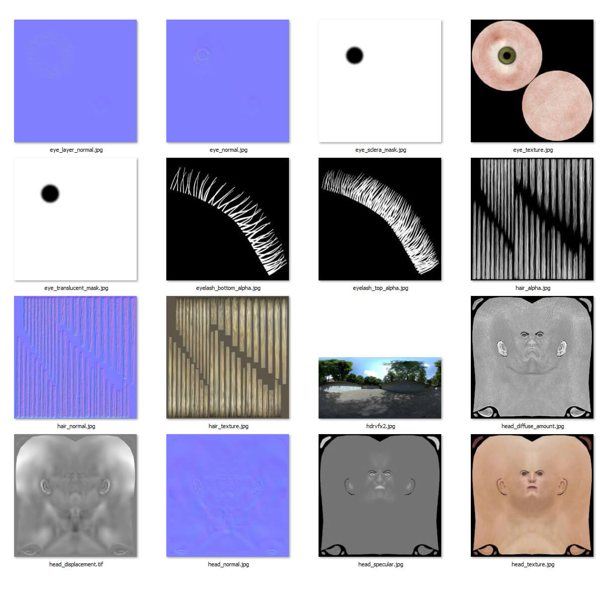 Kim Dickens Madison Clark Head - 3D Model by vefilanna